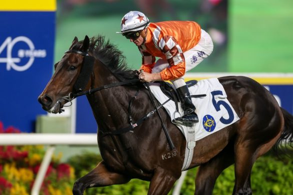 Musk hits out at ‘fascist’ UK as row over X and its Grok AI escalates ...